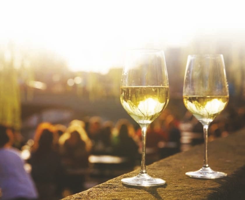 Raise Your Glass! - Conservation News